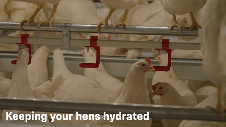 Drinking System